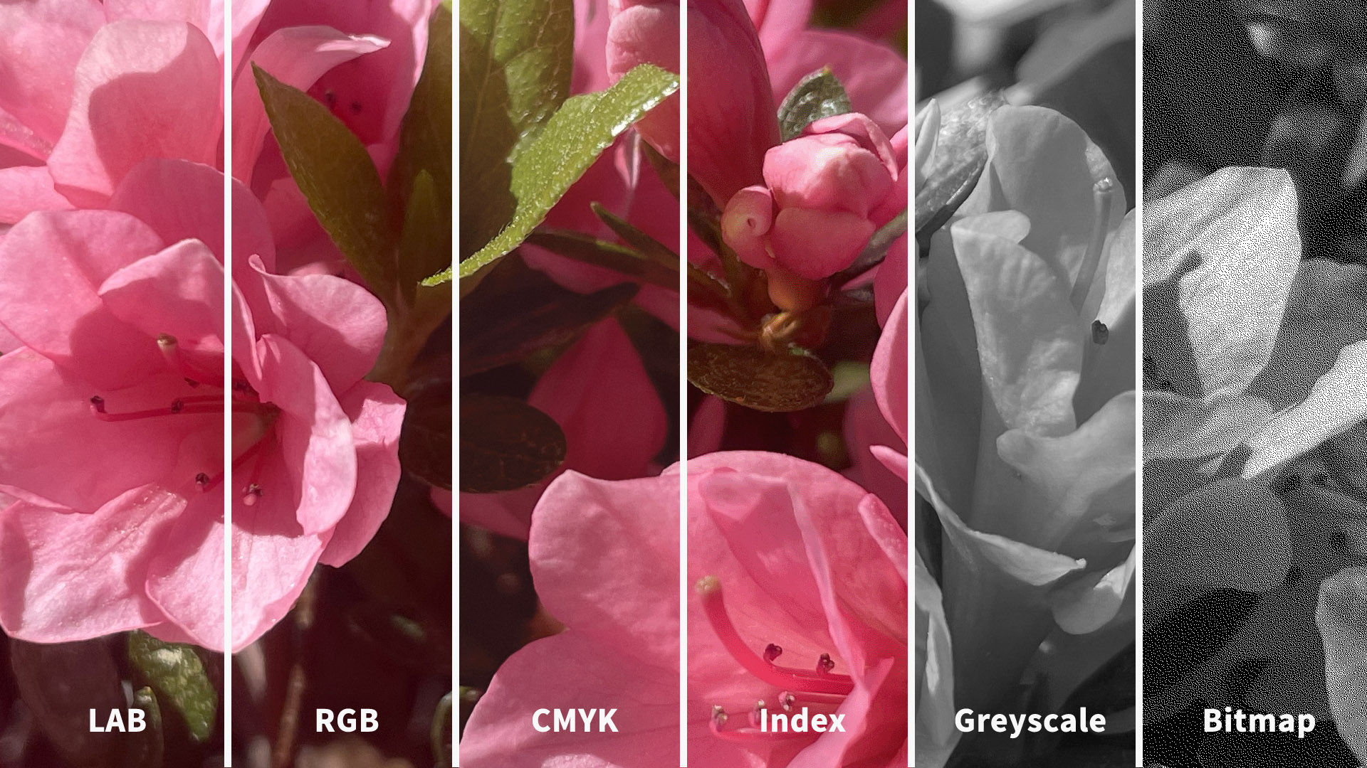 What Are Color Modes IxDF